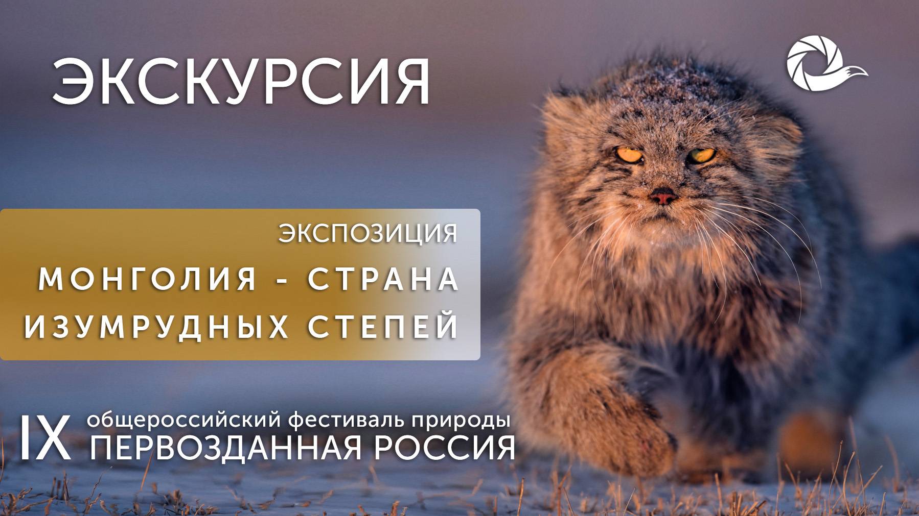 Экскурсия по IX Фестивалю. Монголия - страна изумрудных степей