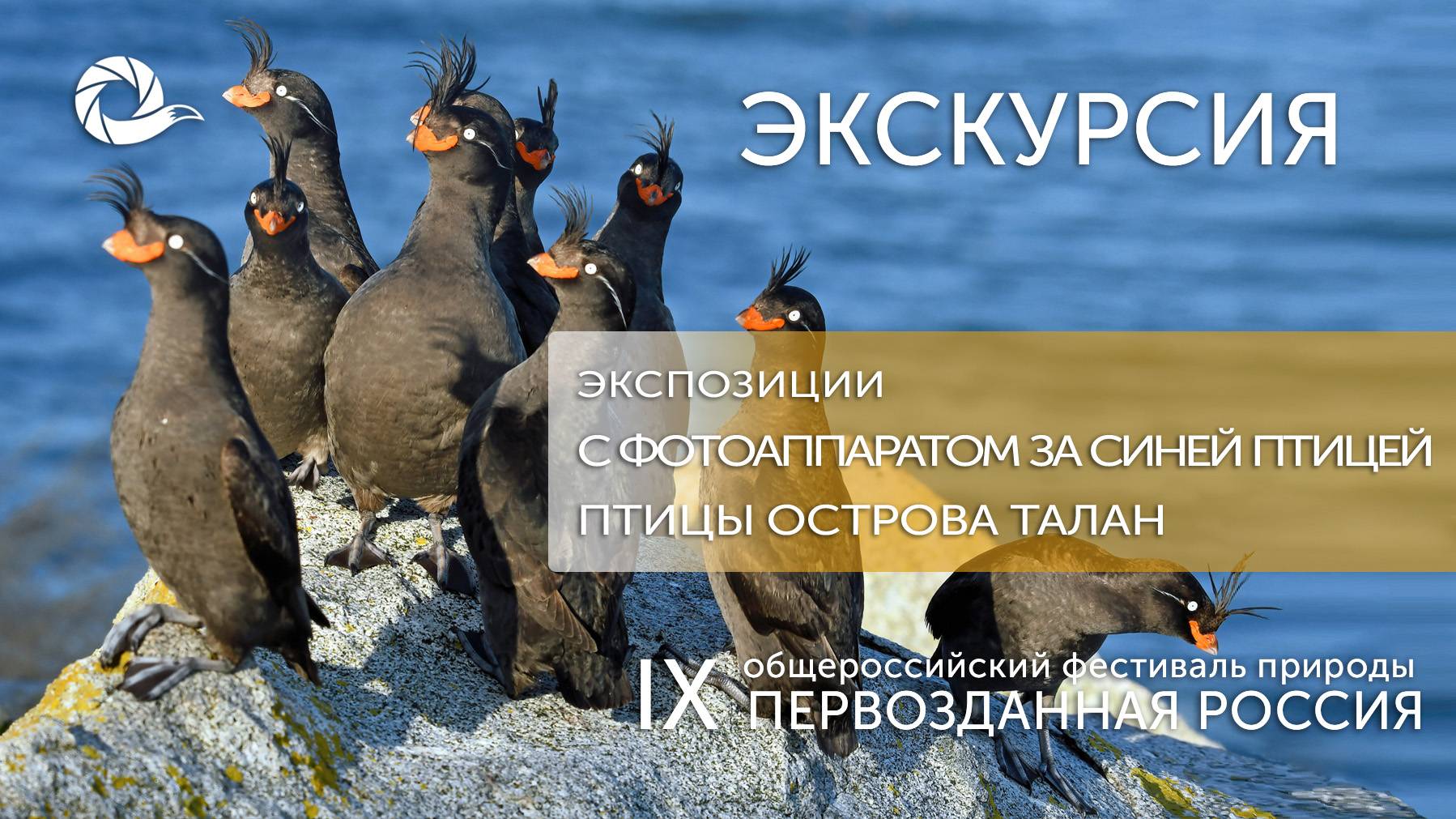 Экскурсия по IX Фестивалю. С фотоаппаратом за синей птицей/Птицы острова Талан