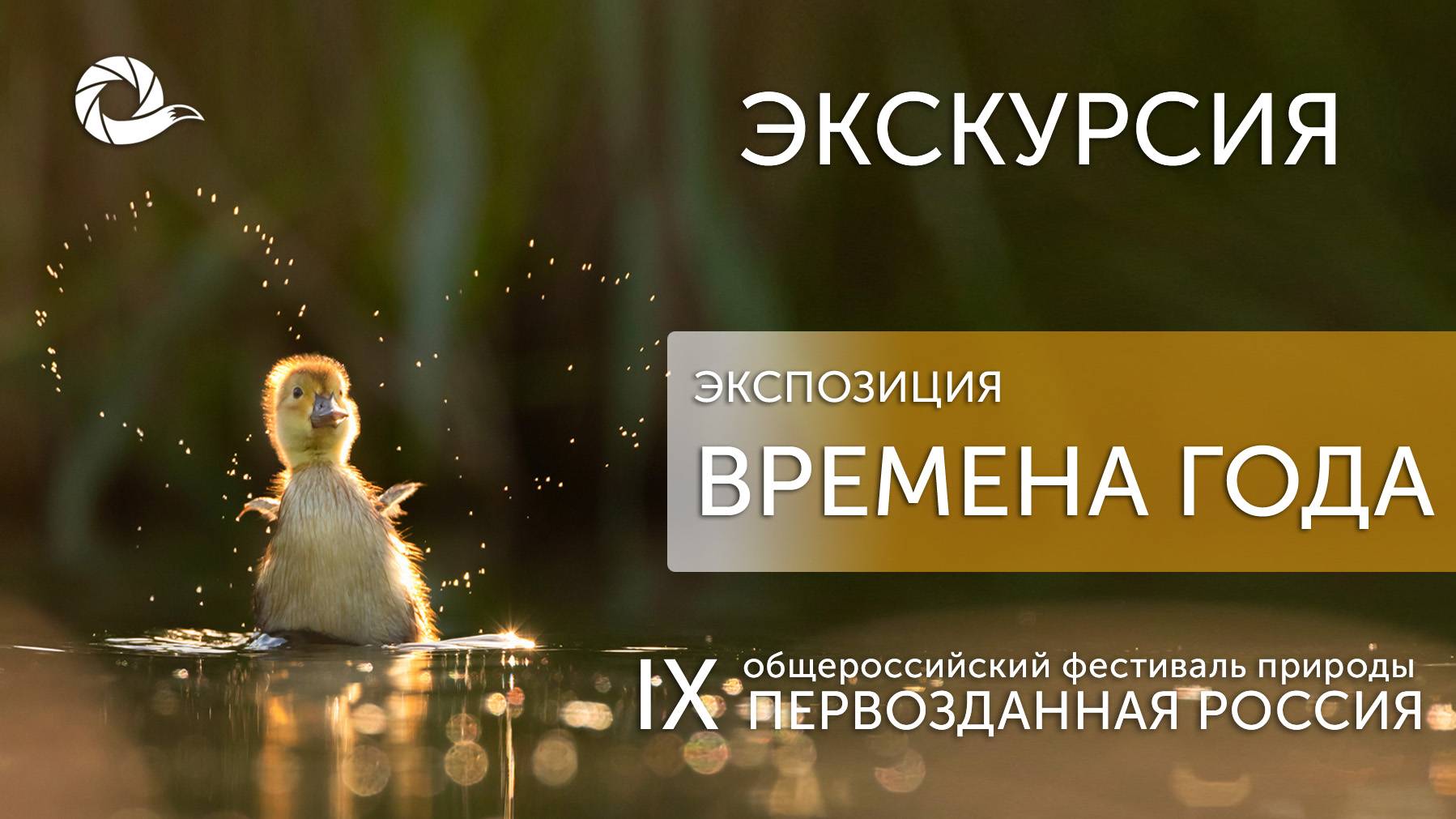 Экскурсия по IX Фестивалю. Времена года