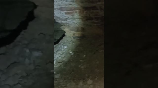 #211 Эндрю исследует пещеру (отрывок из Спектрофобия - 4 серия)