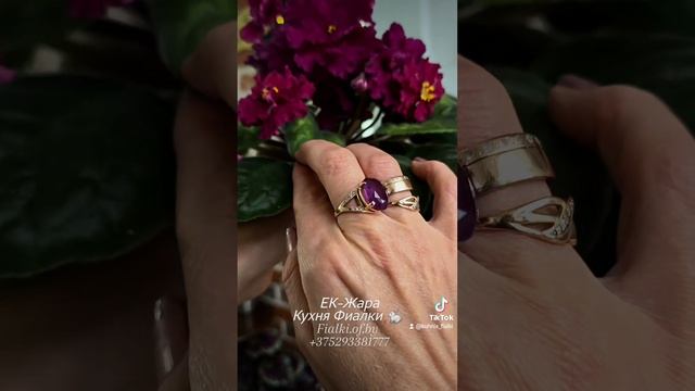 🏫🐇ЕК-Жара - типичный представитель красноцветковых сортов. Кроновая пестролистность может быть нас