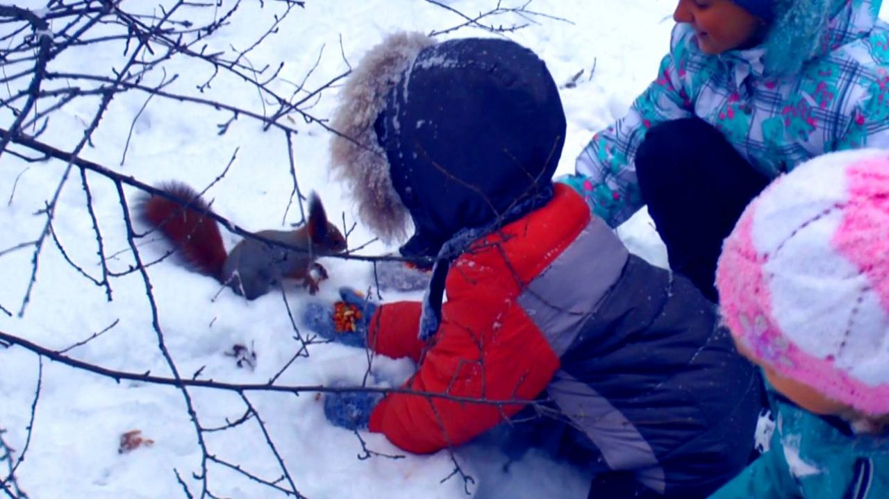Бесстрашные Белки в Лесу Красноярск❤️