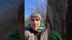 Повышенный Холестерин, причины, Траволечение