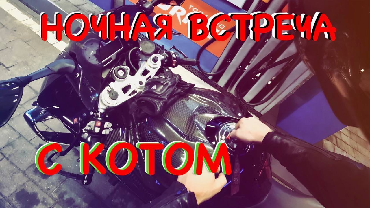 БОРТ ЖУРНАЛ   НАРЕЗКИ , КОТ В НОЧИ