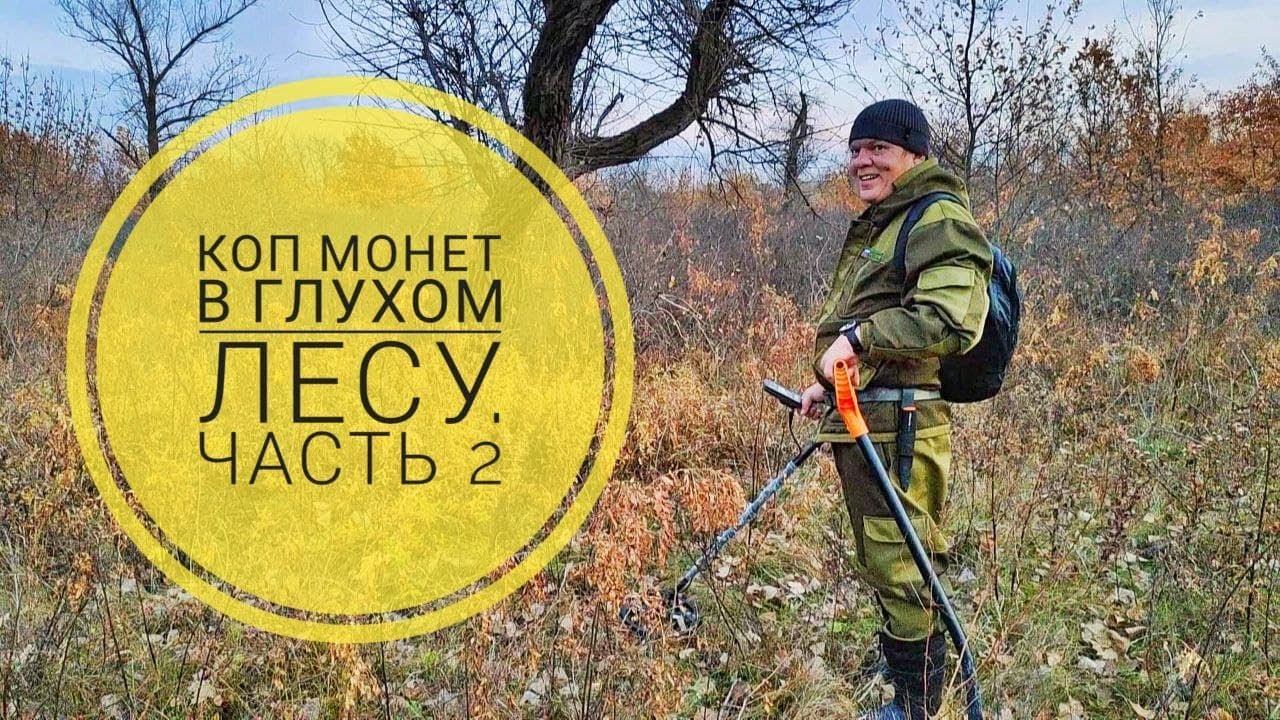 ✅ Что можно найти в глухом лесу. Копаем вместе с Эквинокс 600  Ч. 2✅
