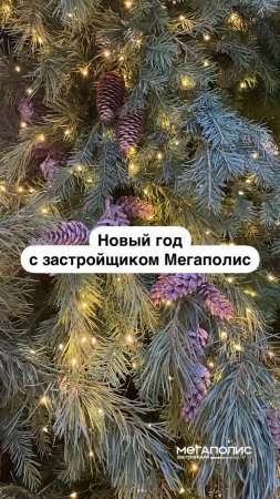 Новый год в новой квартире вместе с Застройщиком Мегаполис | Ленина, 58