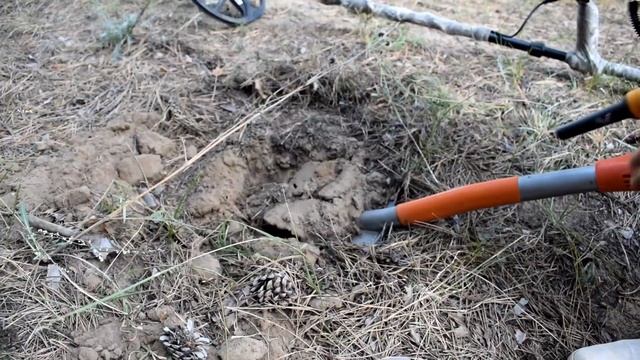 ✅ Поехали в лес за грибами, но получился металлокоп с ЭКВИНОКС 600 .