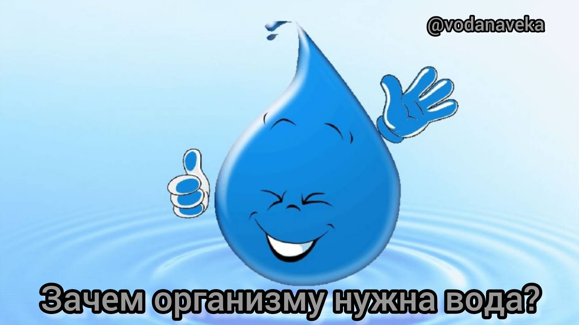Зачем организму нужна вода?