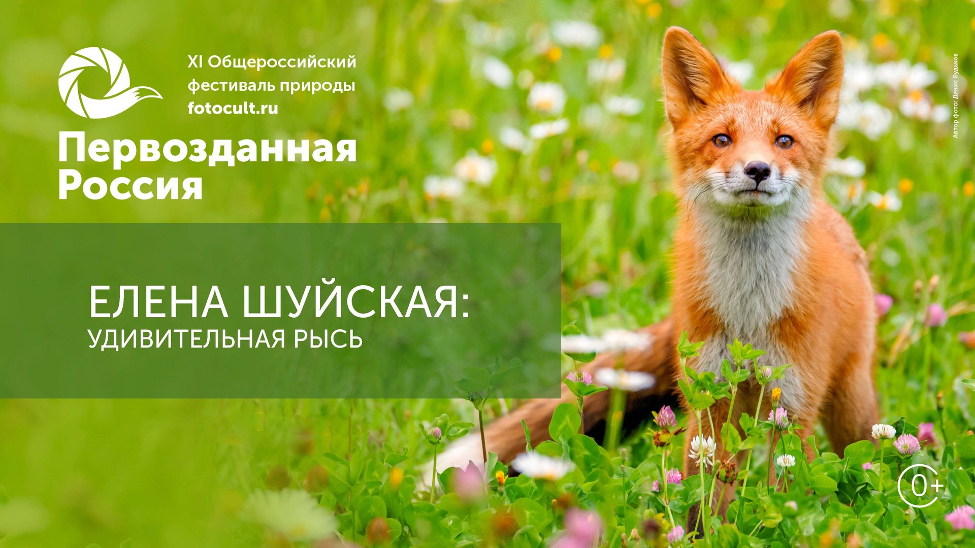 Елена Шуйская: Удивительная рысь