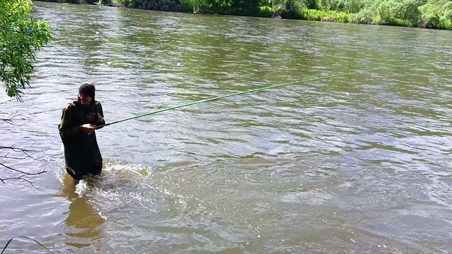 Рыбалка (22-25.06.2023). Часть 4. Рыболовные будни.