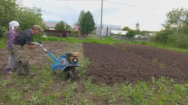 "ГУСИНЫЕ ЛАПКИ"_Мотоблок Нева МБ-2. 4 сотки-за 14 минут!Они лучшие!