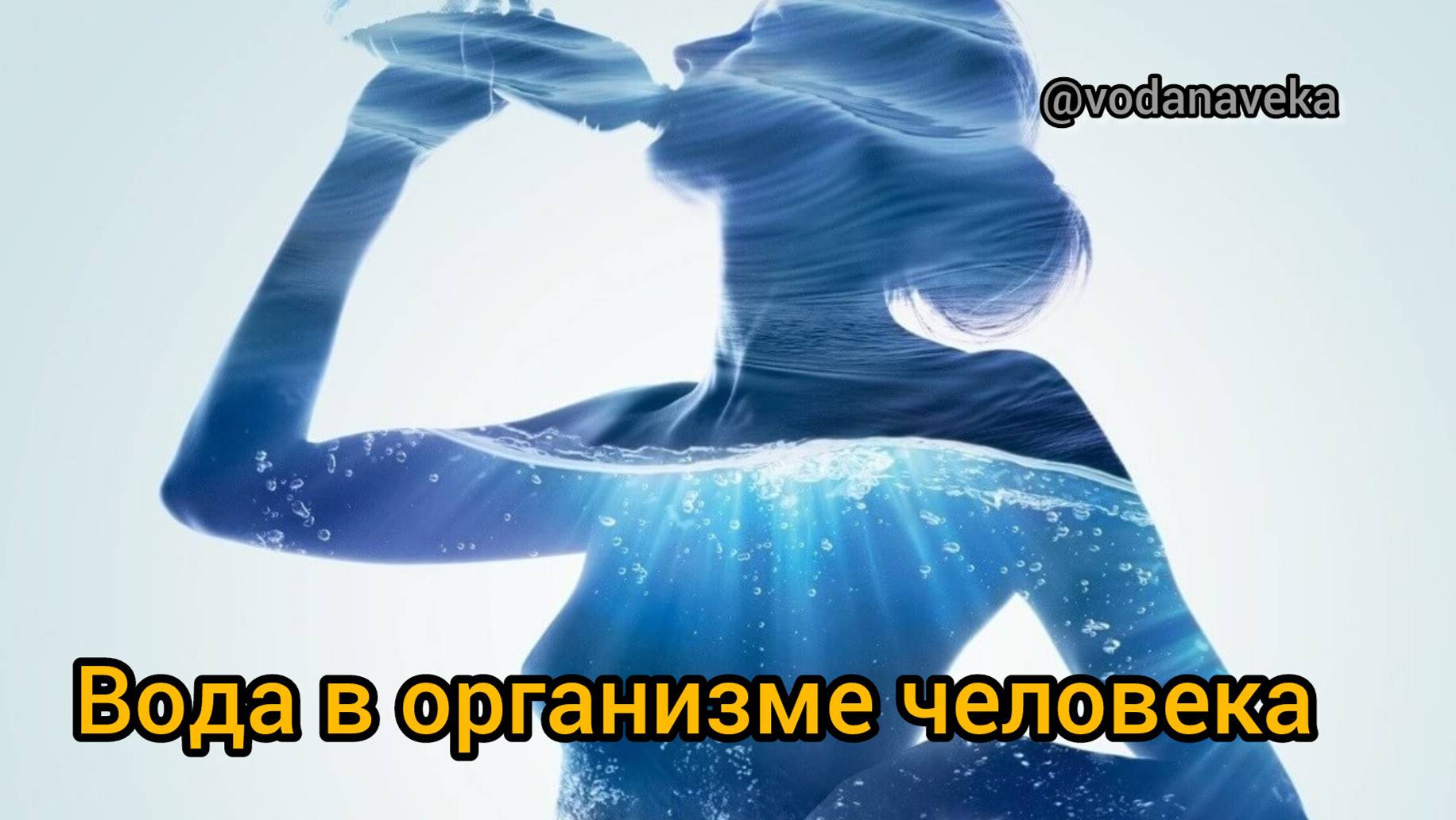 Вода в организме человека. О.А.Бутакова