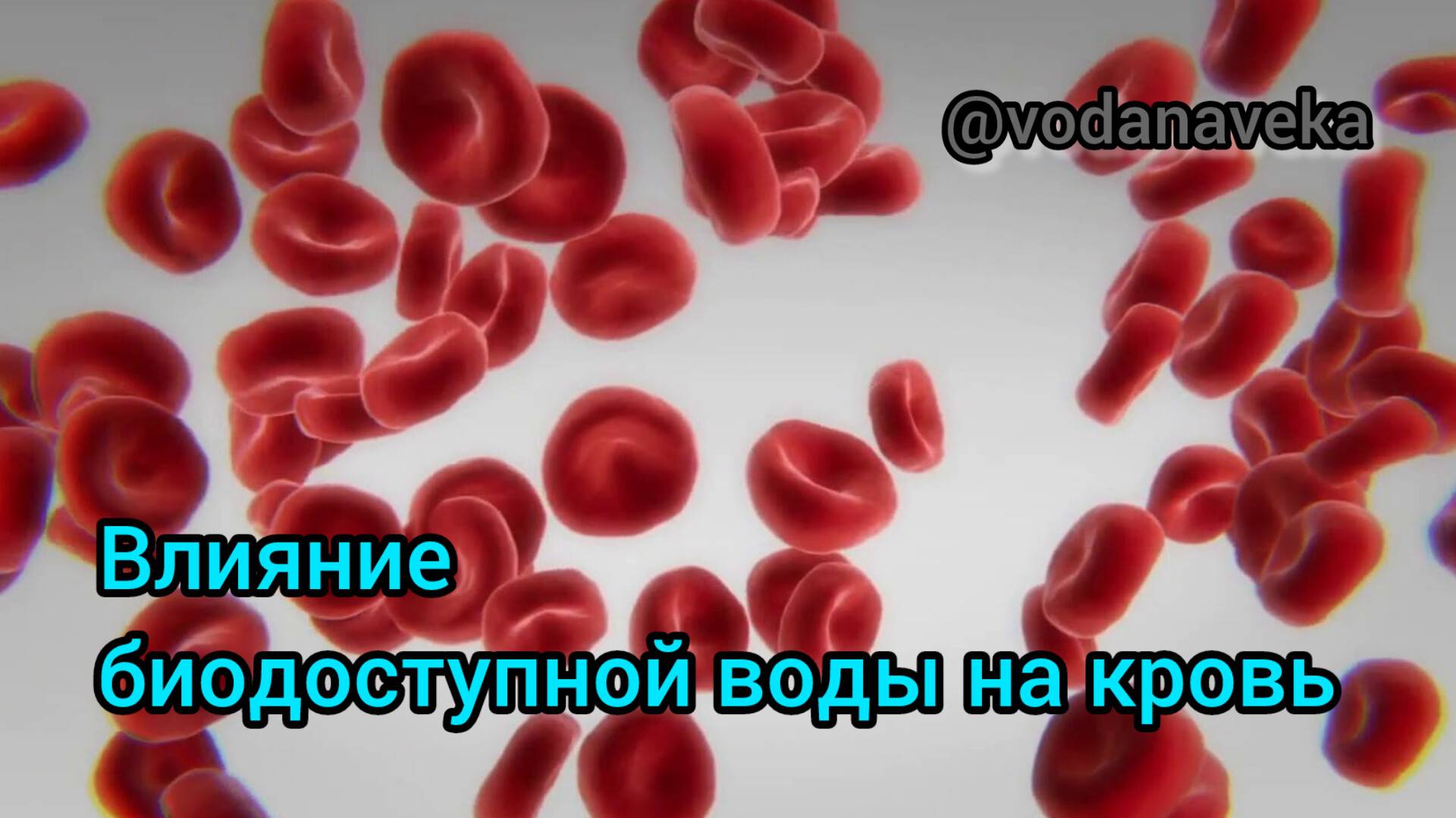 Влияние биодоступной воды на кровь человека