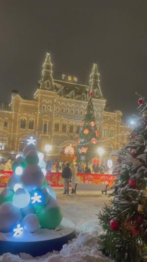 Совсем новогоднее. Гуляем с сестрой по Москве, часть вторая