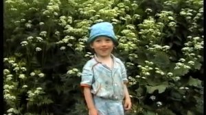 Тайга с щенятами в Заячье.1999 год...