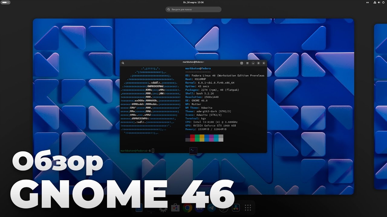 GNOME 46 (Linux) - Обзор _ Новые уведомления, поиск повсюду, настройки _ Fedora 40 _ Ubuntu 24.04