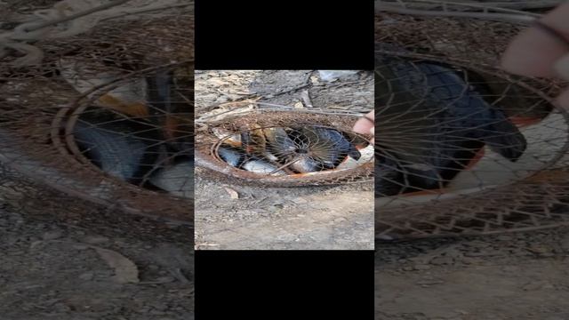 Скромный результат за несколько часов.