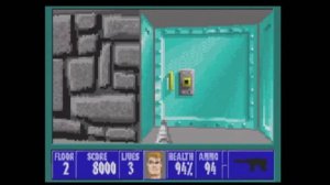 Wolfenstein 3D /Gameboy Advance / Gameboy Player RGB Framemeister