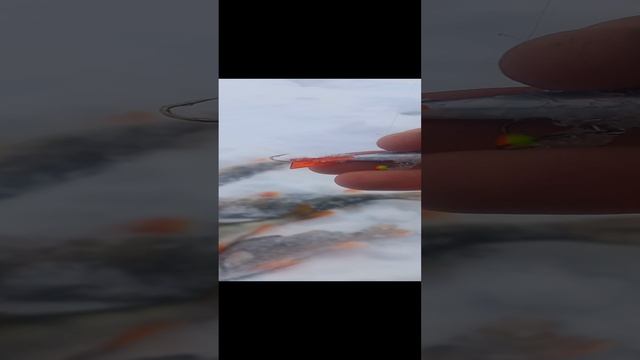 окунь на балансир