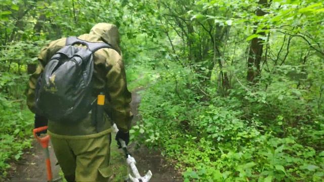 ✅  Пошли прогуляться в  лес, а попали в парк юрского периода. ✅