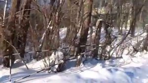 Запретное место