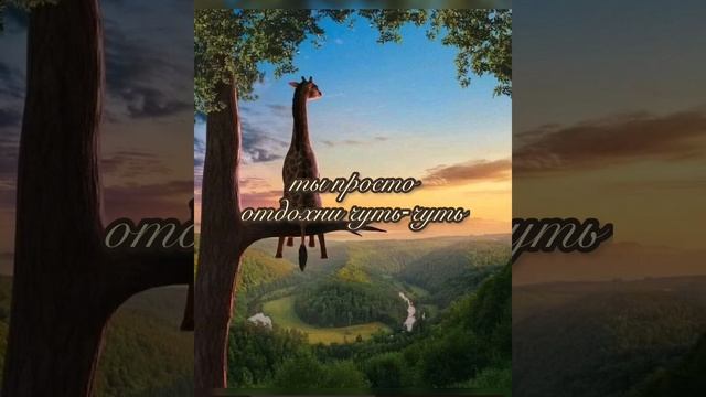 Там на небесах…/мудрые мысли #видеостих #мудростьдня #умныемысли