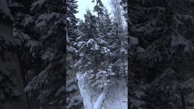 Промах.