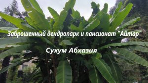 Заброшенный дендропарк и пансионат "Айтар". Сухум. Абхазия.