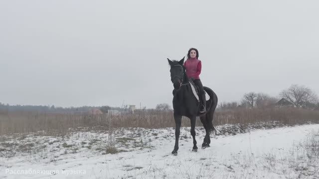 Осенняя Мелодия Любви. Лечебная музыка для сердца и сосудов!