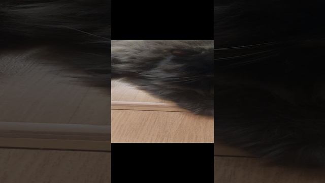14-12-2024