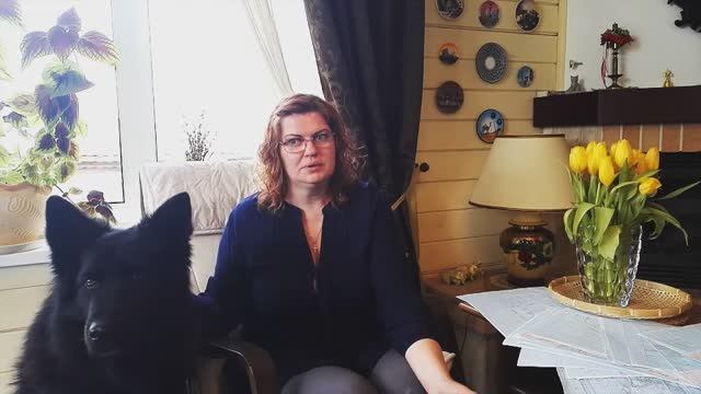 Живём загородом: выбор места для пруда на загородном участке