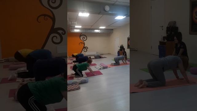 Хатха йога в прямом эфире