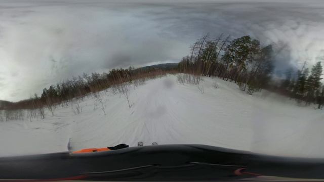 Завьялиха - 2024 (360) - 3
