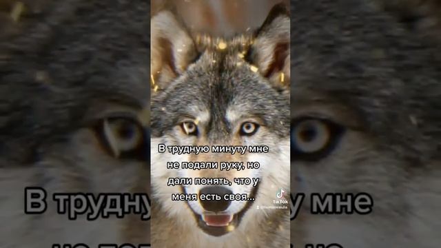 Жизнь бумеранг 💯