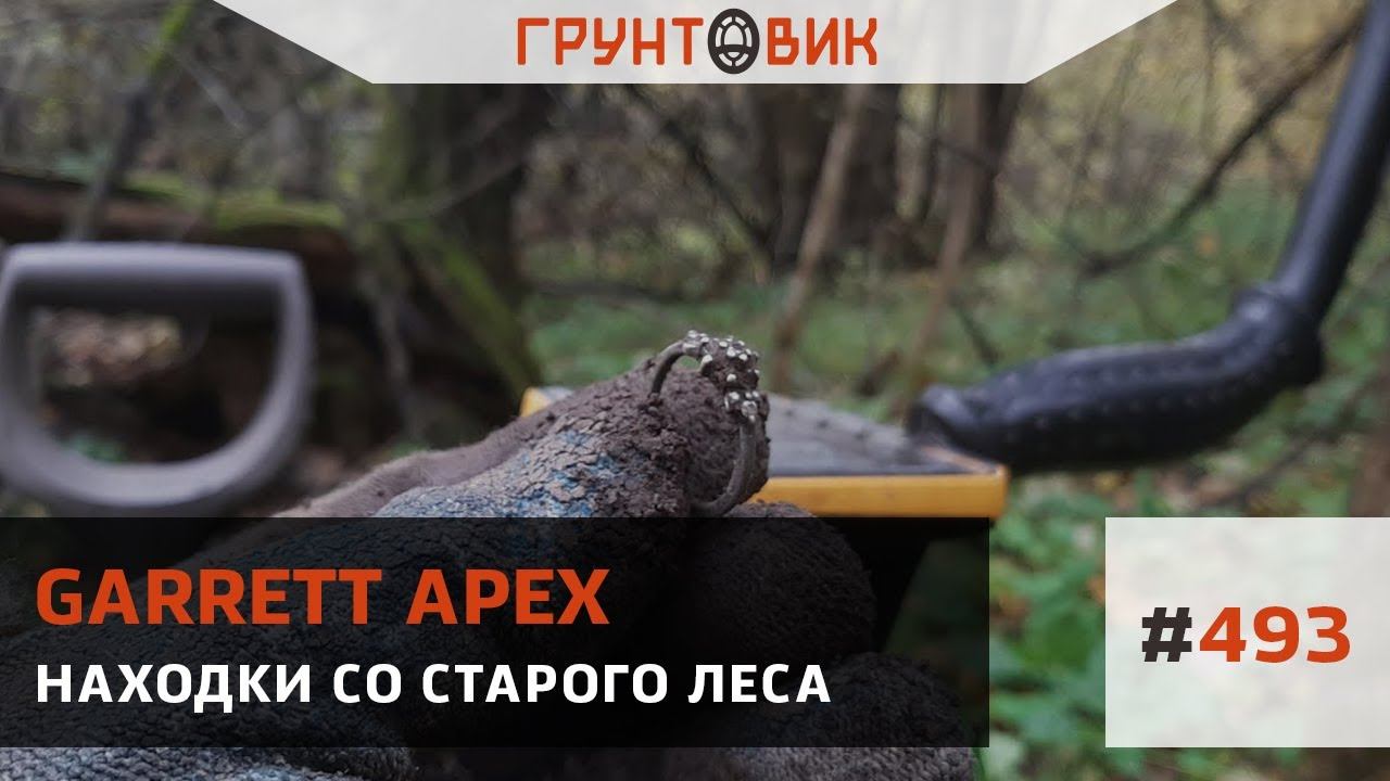 Находки со старого леса, копаю с Garrett ACE Apex