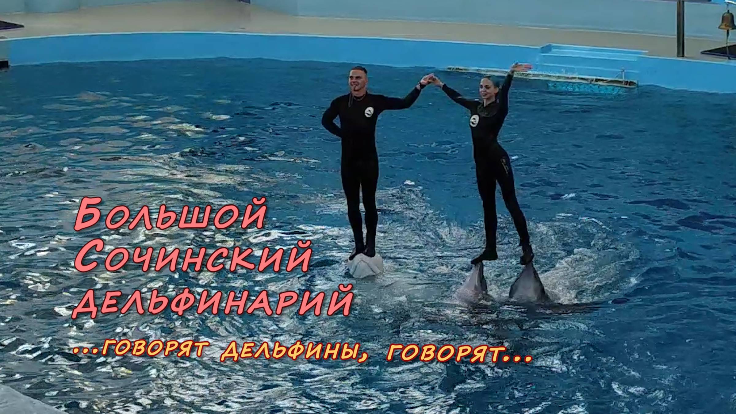 Дельфинарий в Сочи