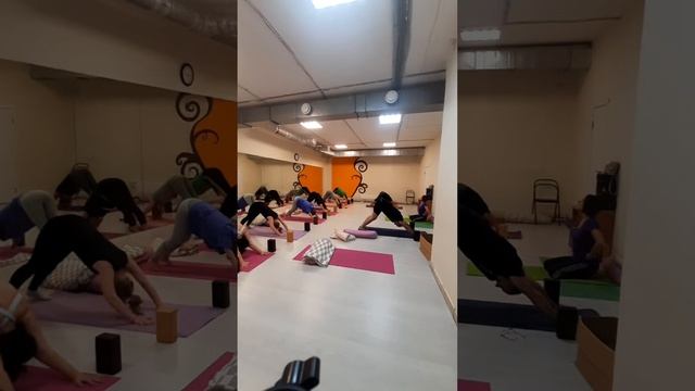 Хатха йога  в прямом эфире!