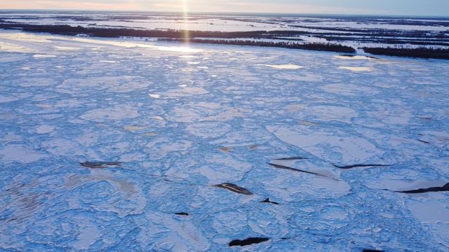 р.Обь, 23 ноября 2024 года