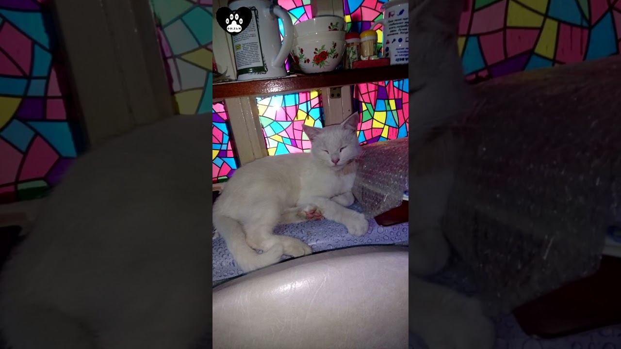 Щека заживает