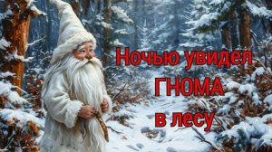 Ночёвка в зимнем лесу. Избушка гнома.