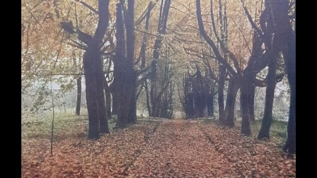 "Протяжный вздох..." - Михаил Кукулевич