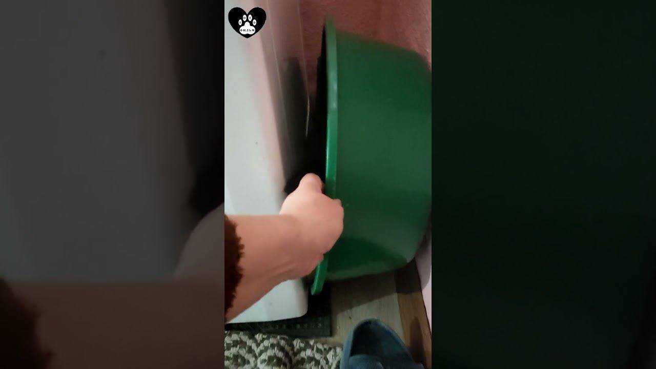 Я застрял..., я застрял...