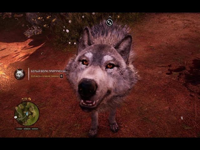 Far Cry Primal - Хозяин Зверей