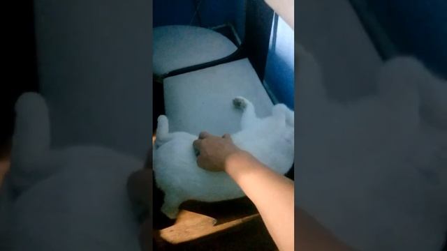 Устала мама, вот