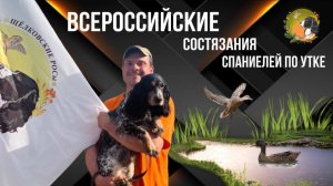 Щелковские РОСы на Всероссийских состязаниях спаниелей по утке и лысухе в Череповце 2024