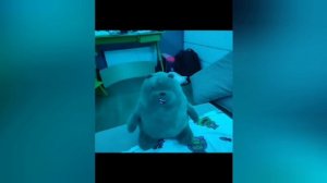 Настя решила меня напугать??🤔