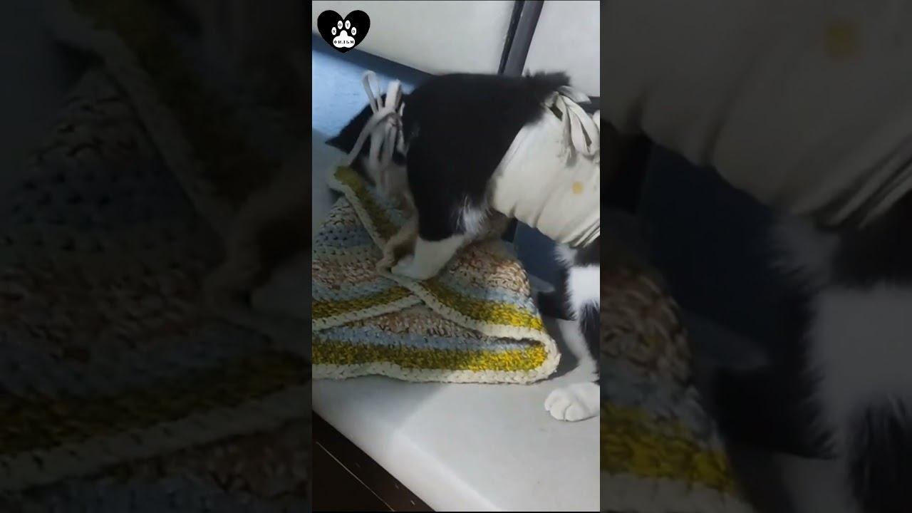 Не взбита лежанка