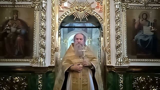 Проповедь отца Павла. Неделя 25-я по Пятидесятнице. 15.12.24