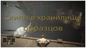 Скипы в хранилище образцов DLC Elden ring