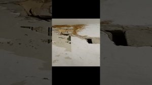 1000008395.mp4 Вот как с Шизофренником алкашем рядом жить.